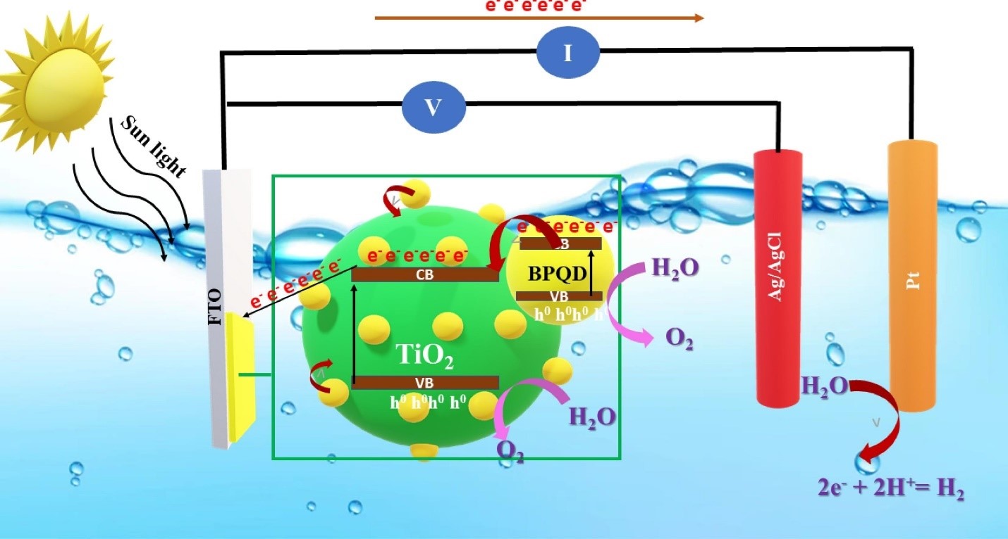 The borophene quantum dots scaffolded TiO2 nanocomposite as an efficient photo electrocatalyst ...